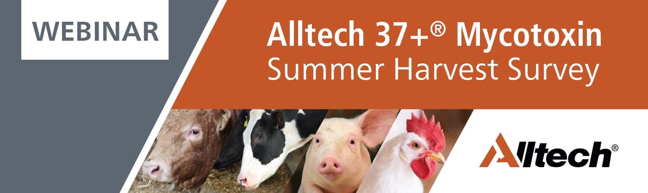 Webinar - Alltech 37+ Mycotoxin Summer Harvest Survey